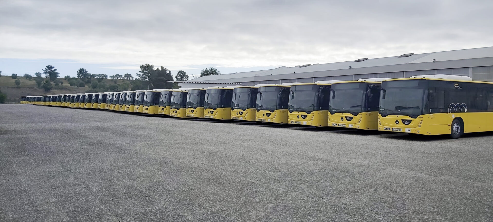 Rekordauftrag aus Portugal: Daimler Buses hat864 Omnibusse an die Área ...